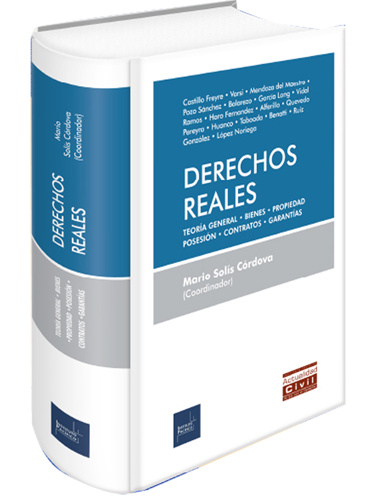 DERECHOS REALES. Teoria general, bienes, propiedad, posesion, contratos ...